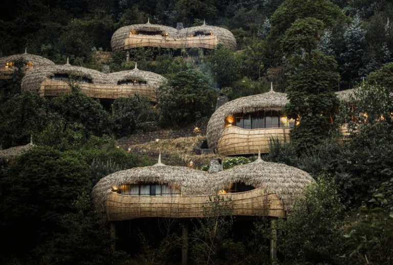 Luxury Gorilla Safari Lodges in Uganda